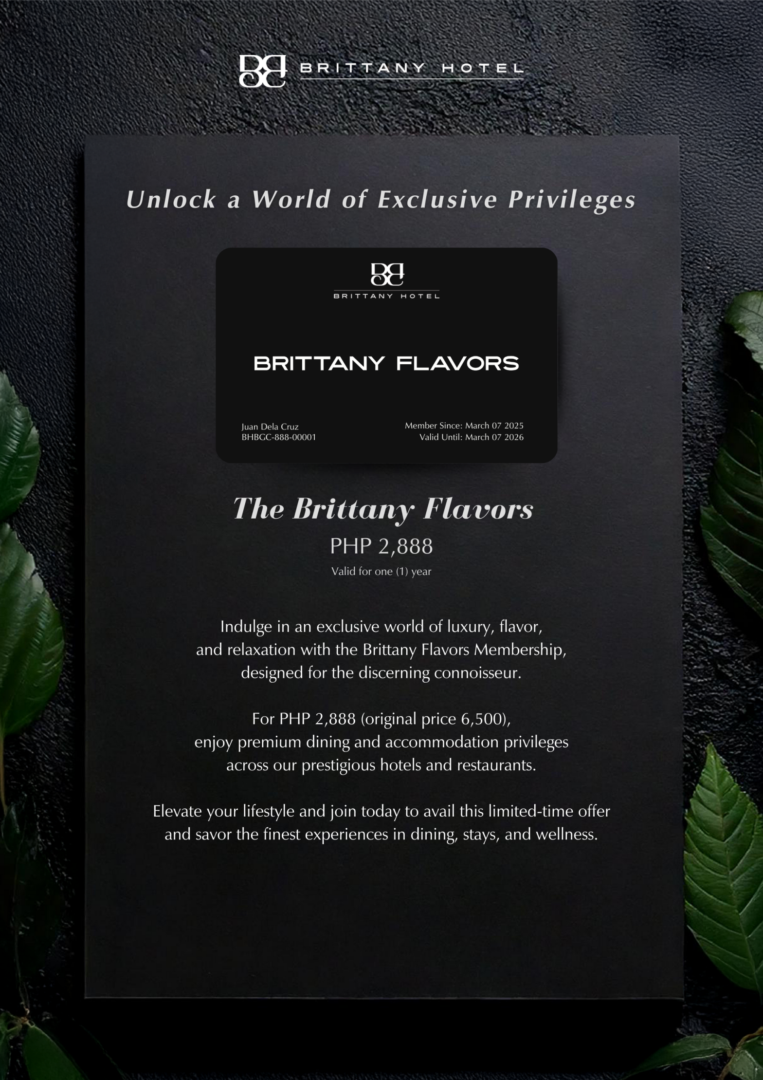 Brittany Hotel – Reimagining Hospitality